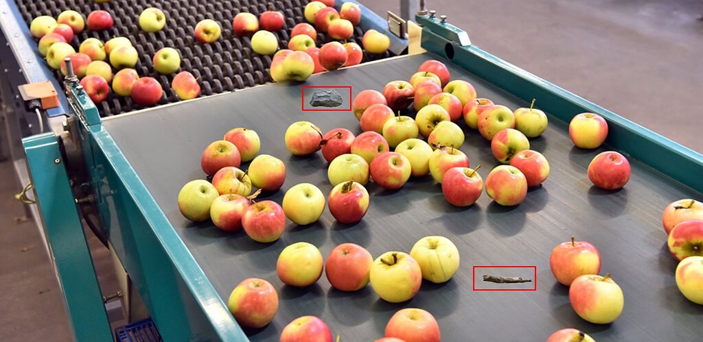 Foreign Object Detection in Food | Food Safety Solutions | Visionify